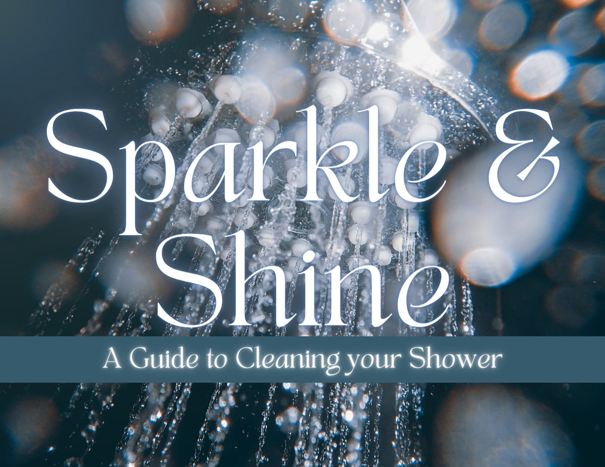 Shine & Sparkle – Don Aslett